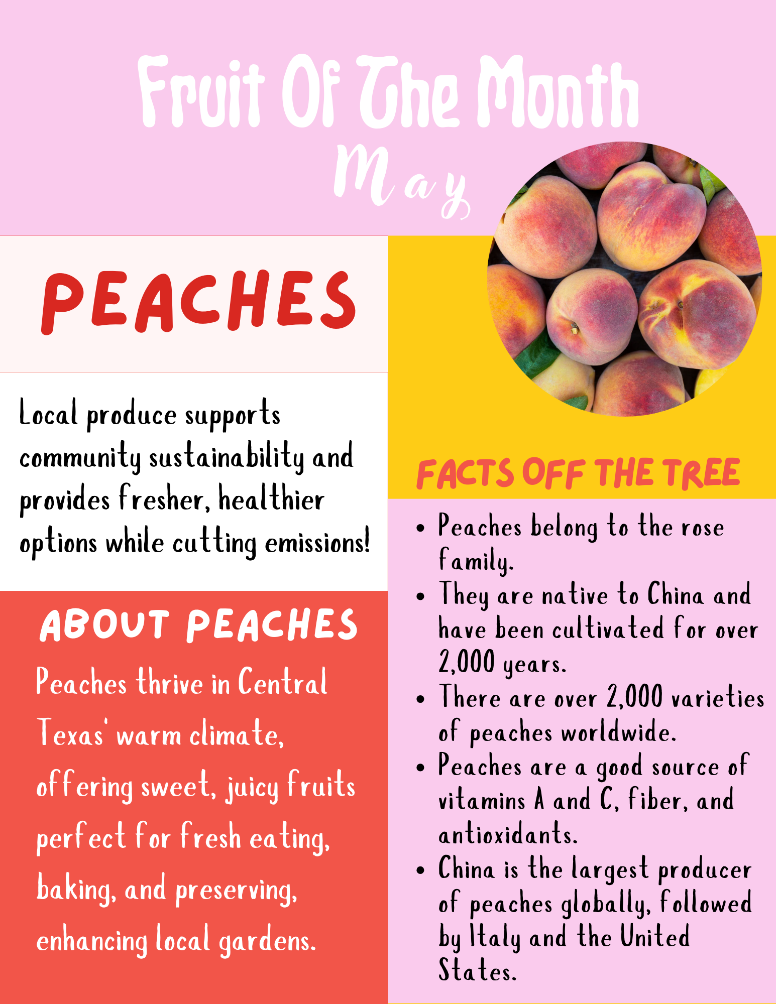 Fruit Of The Month Of May: Peaches | Leander ISD News